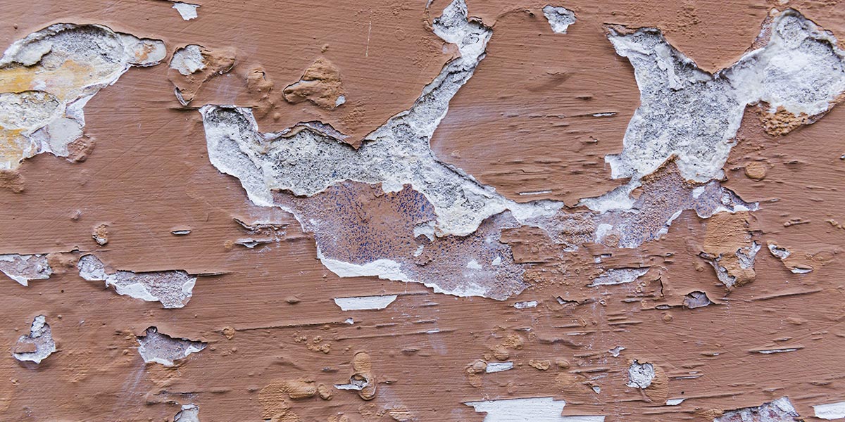 Why Your Wall Paint Is Peeling and What You Can Do About It